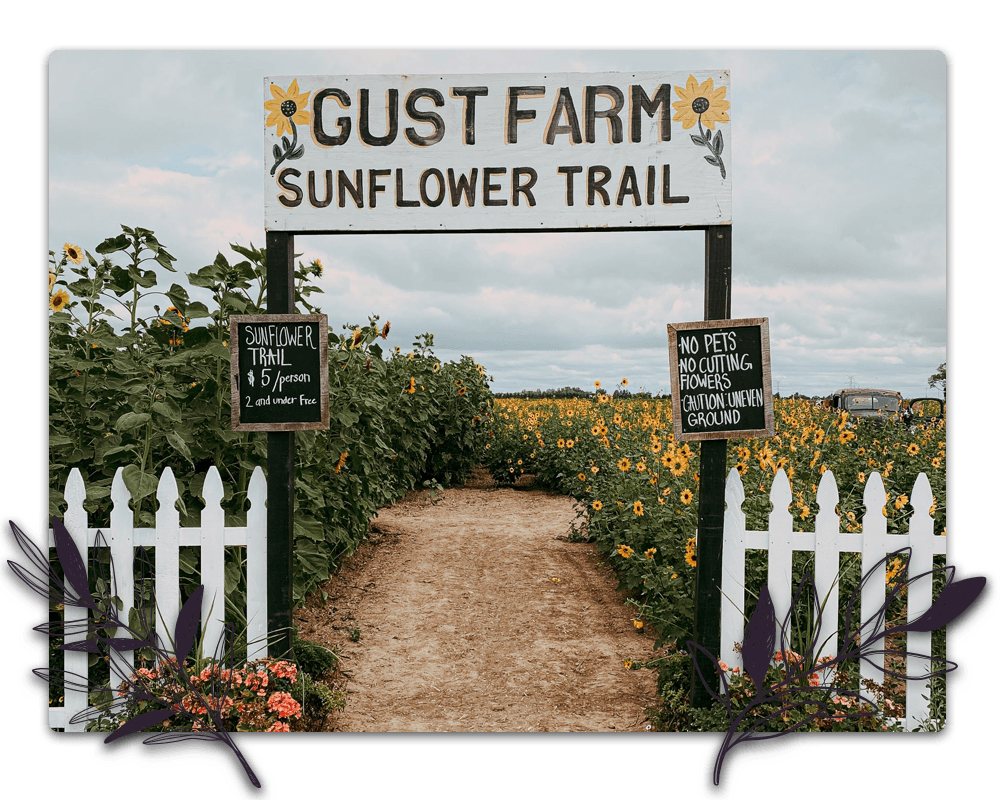 Sunflower Field Trip - Adventuring Being